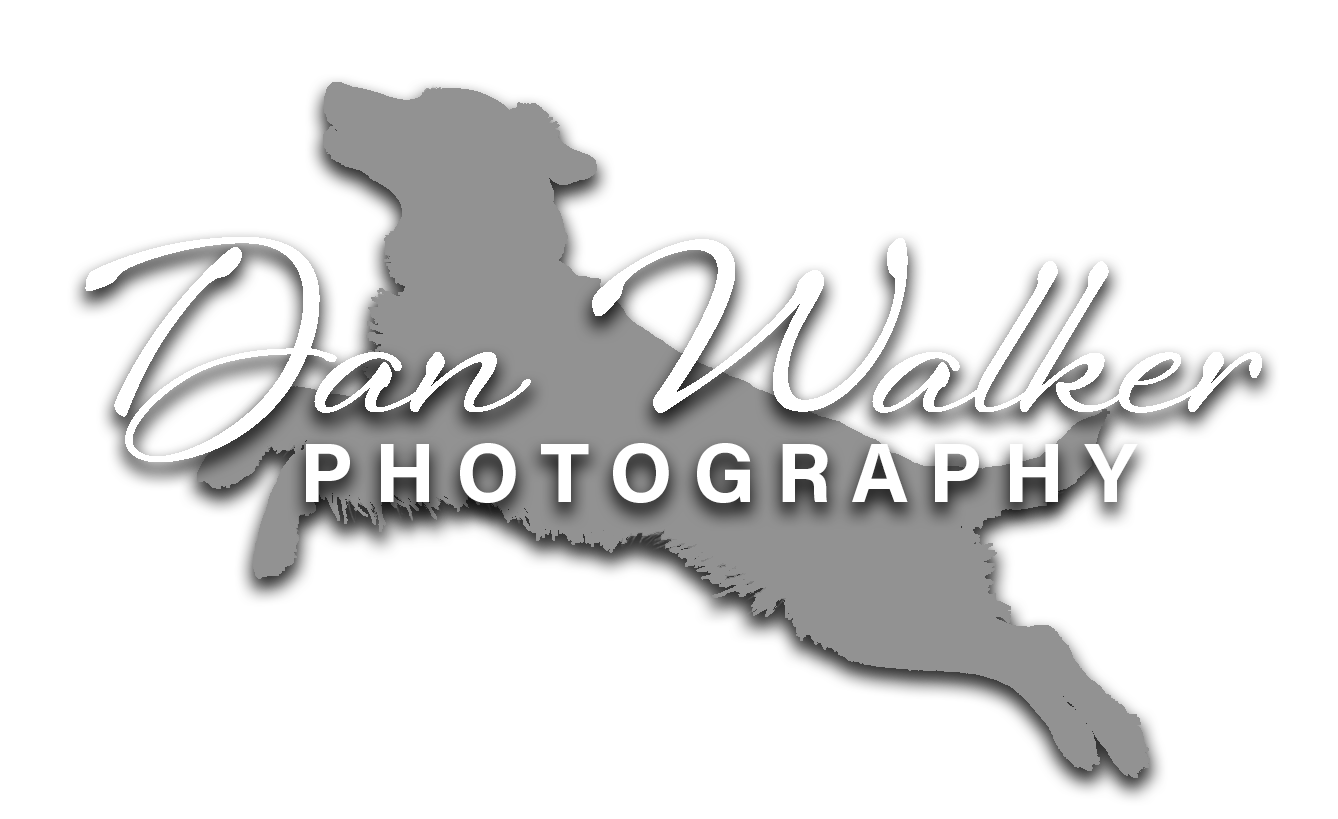 Dan Walker Photography